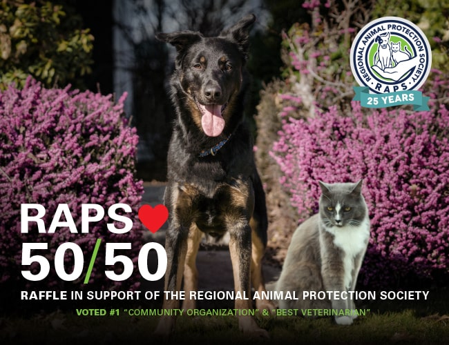 Browse Raffles - Raffle Nexus